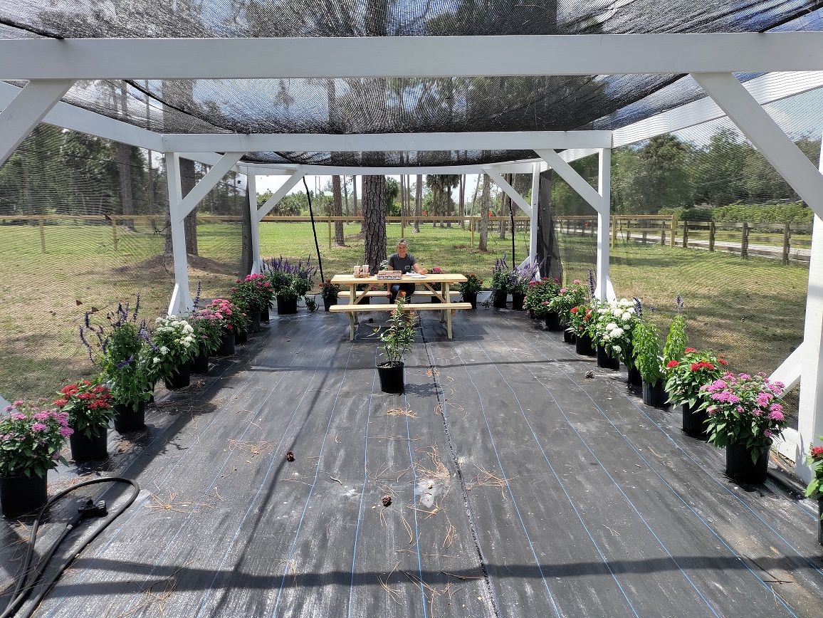 Butterfly Enclosures and Beyond | Go Natural