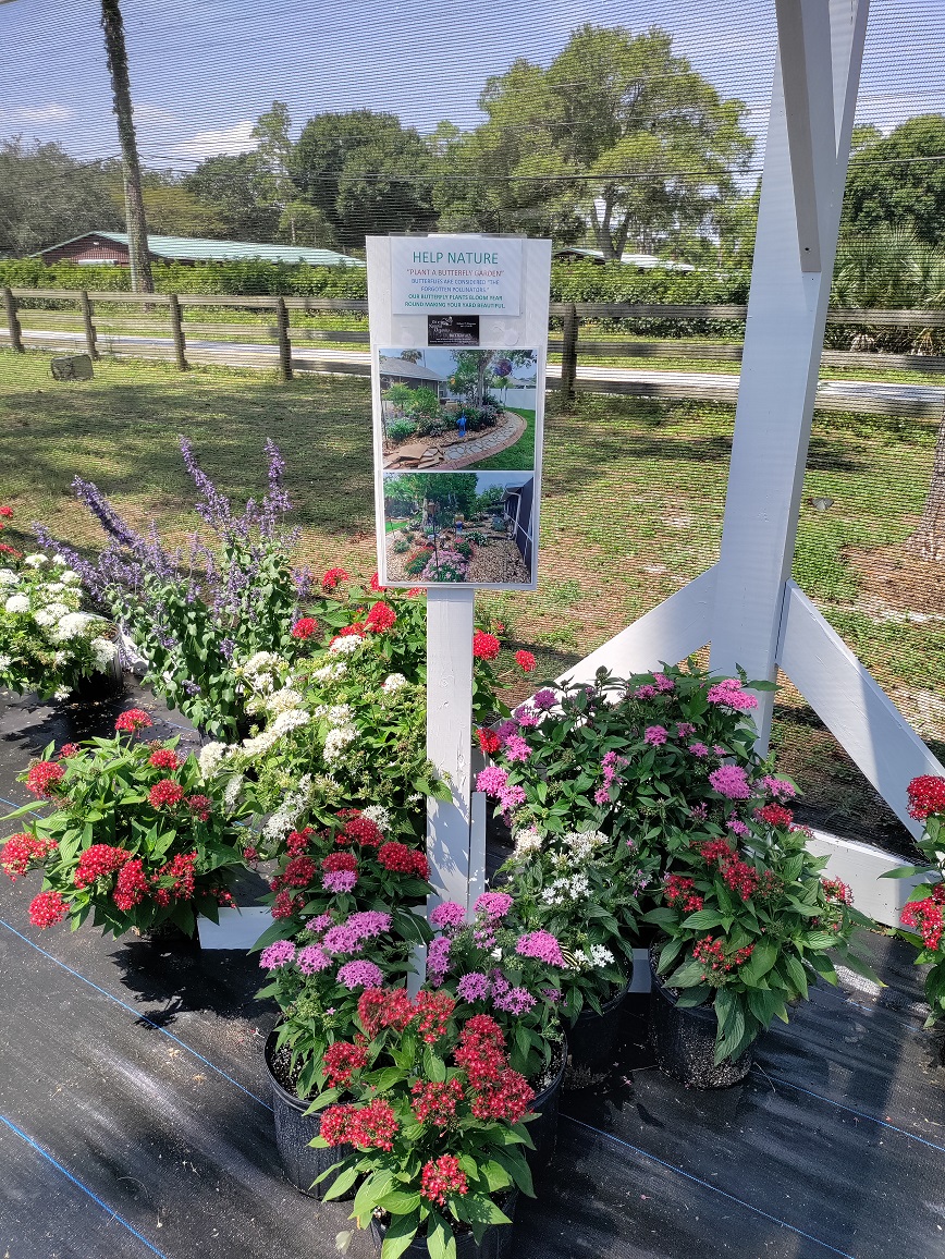 Butterfly Enclosures and Beyond | Go Natural